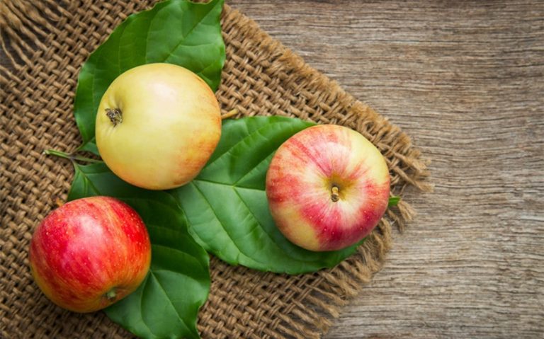 15 Super Foods That Will Make Your Body Smell Good