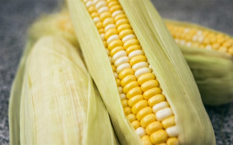 14 Foods That Are Actually Fruits You Didn't Know About