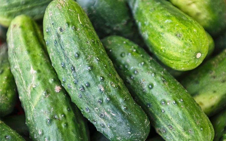 14 Foods That Are Actually Fruits You Didn't Know About