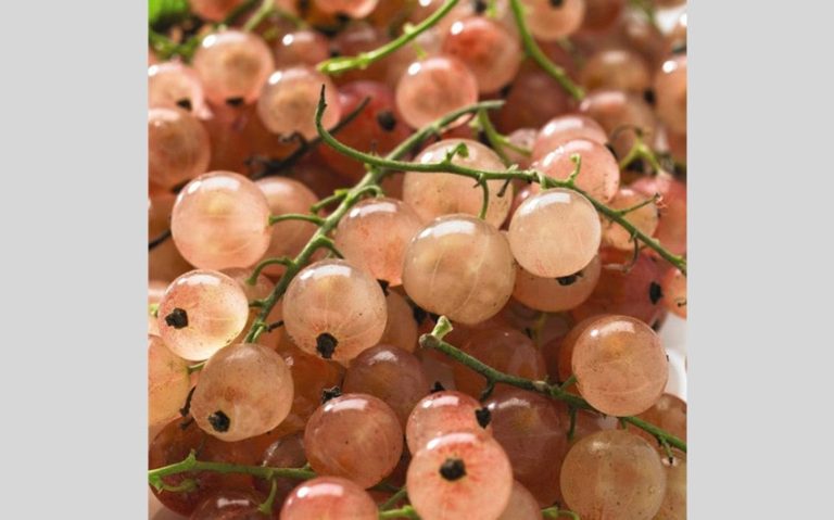 36 Delicious Foods That Are Pink in Color to Enjoy