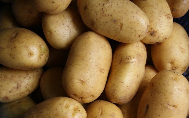 9 Foods That Contain Fluoride Naturally for Better Dental Health