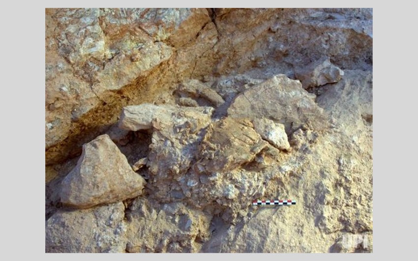 Who Was the First Person on Earth? Tracing Human Ancestors